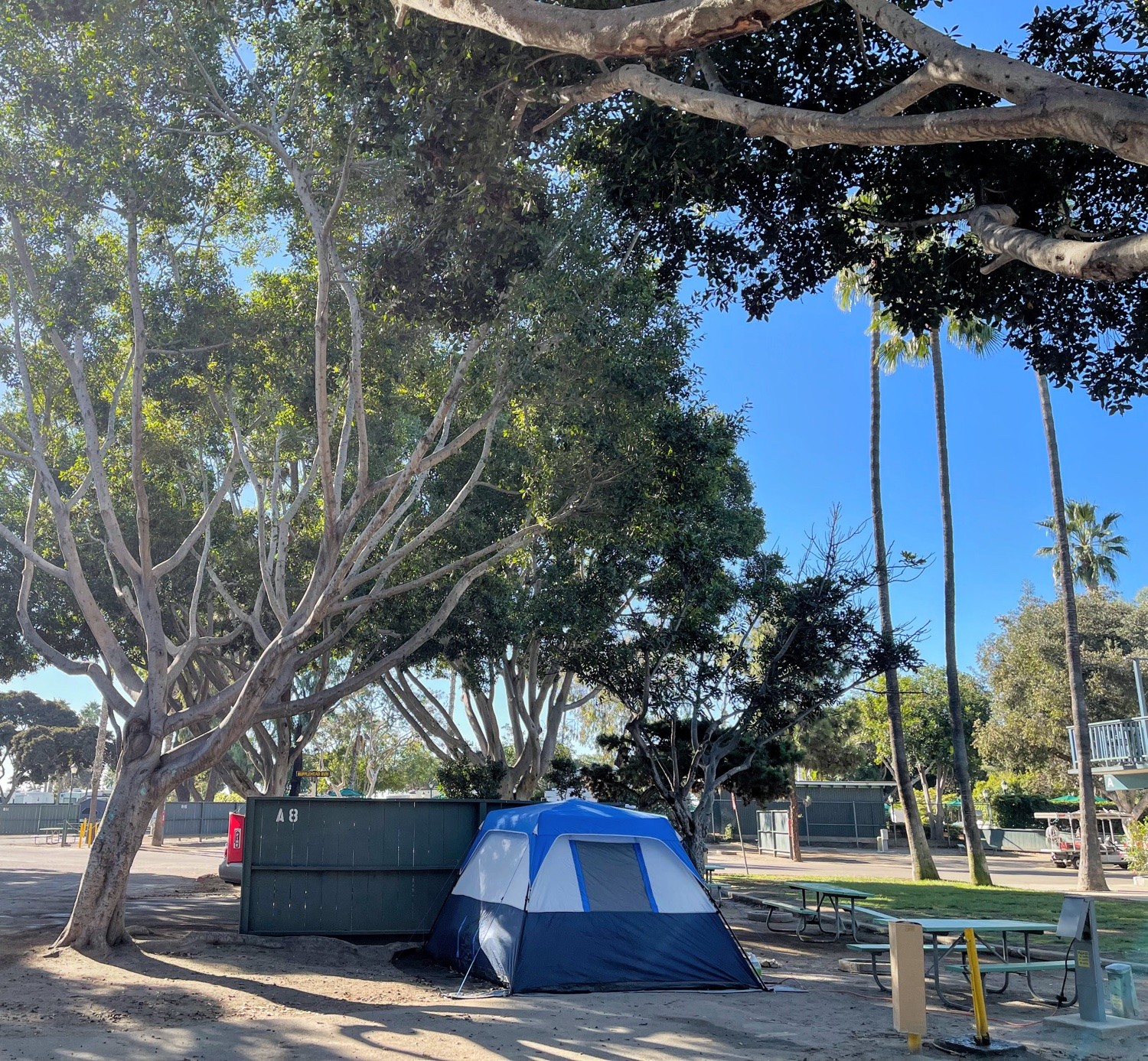 Campground Spotlight: Campland on the Bay - Metropolitan Mama